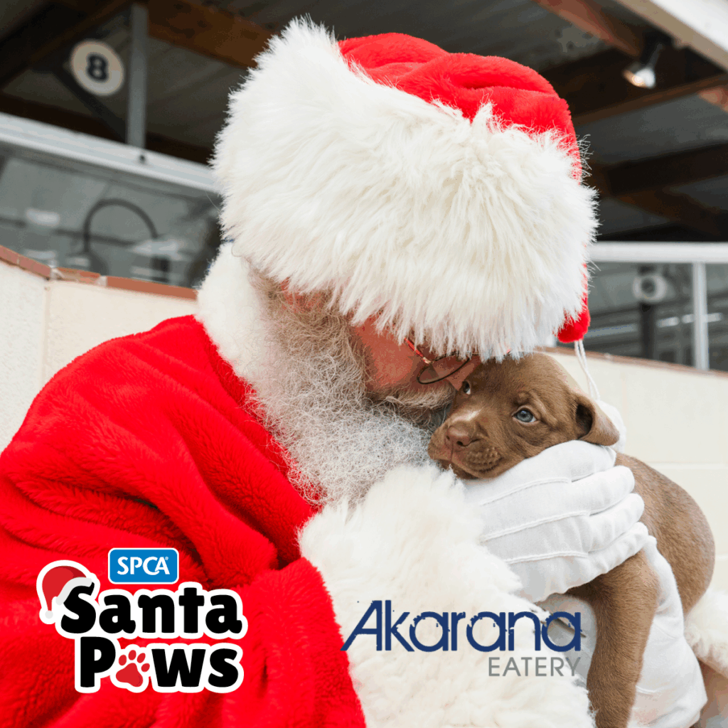 SPCA Santa Paws - Akarana Event Centre